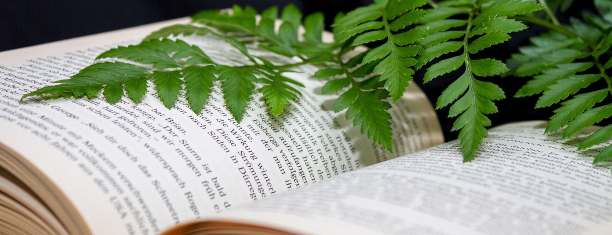 Le Plantoscope : c’est quoi le projet ? – Le Plantoscope