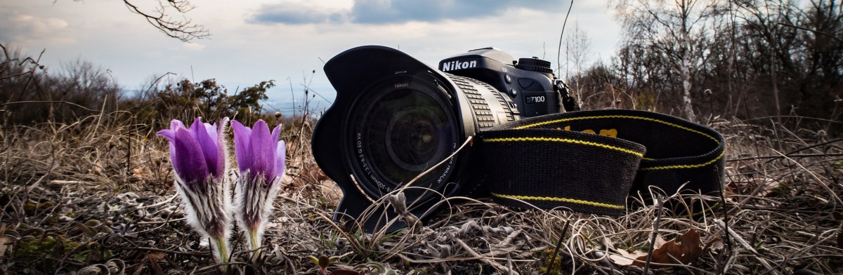 Les meilleurs documentaires sur les plantes et la botanique – Le ...