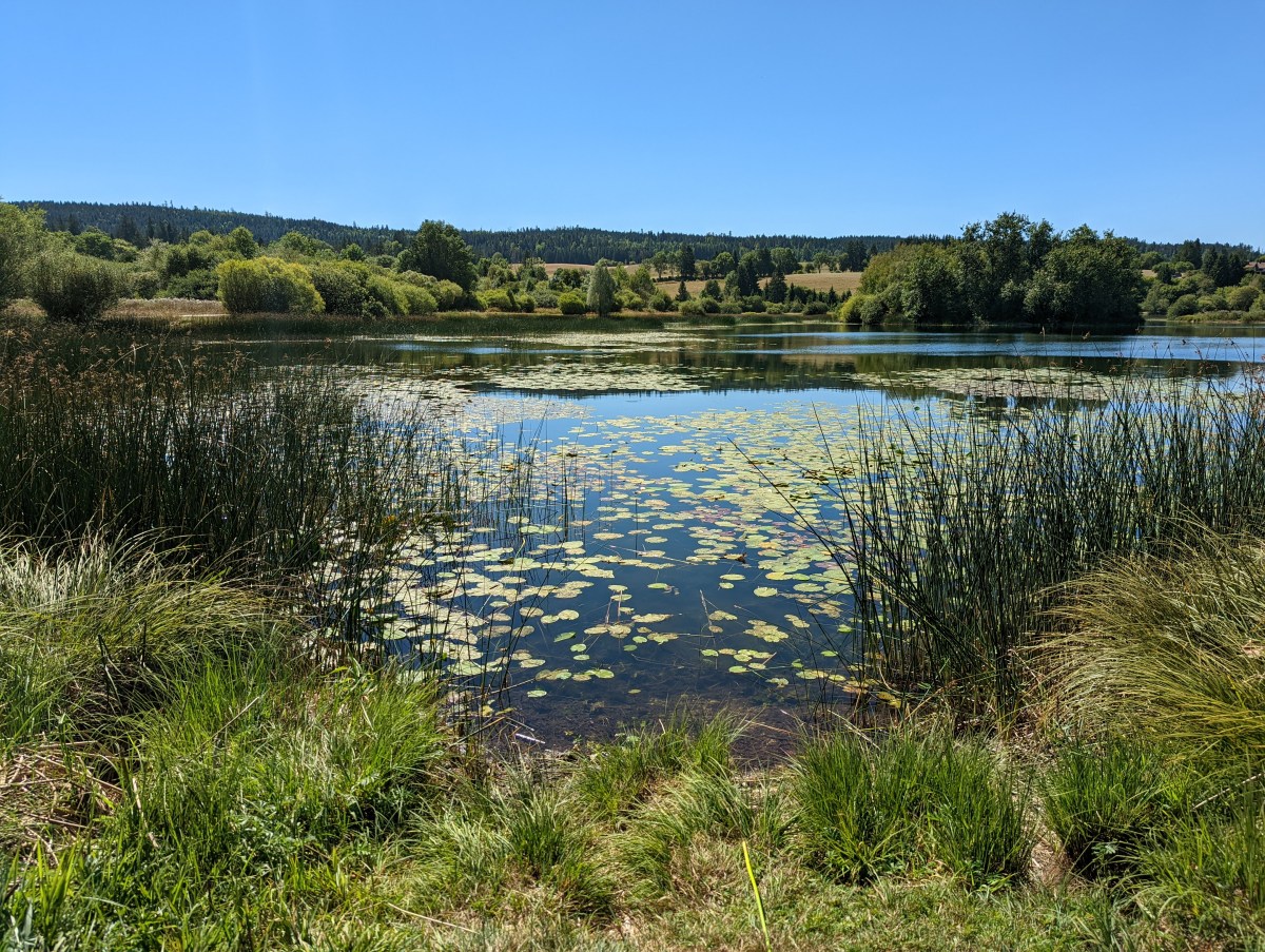 La réserve naturelle du lac de Remoray – Le Plantoscope